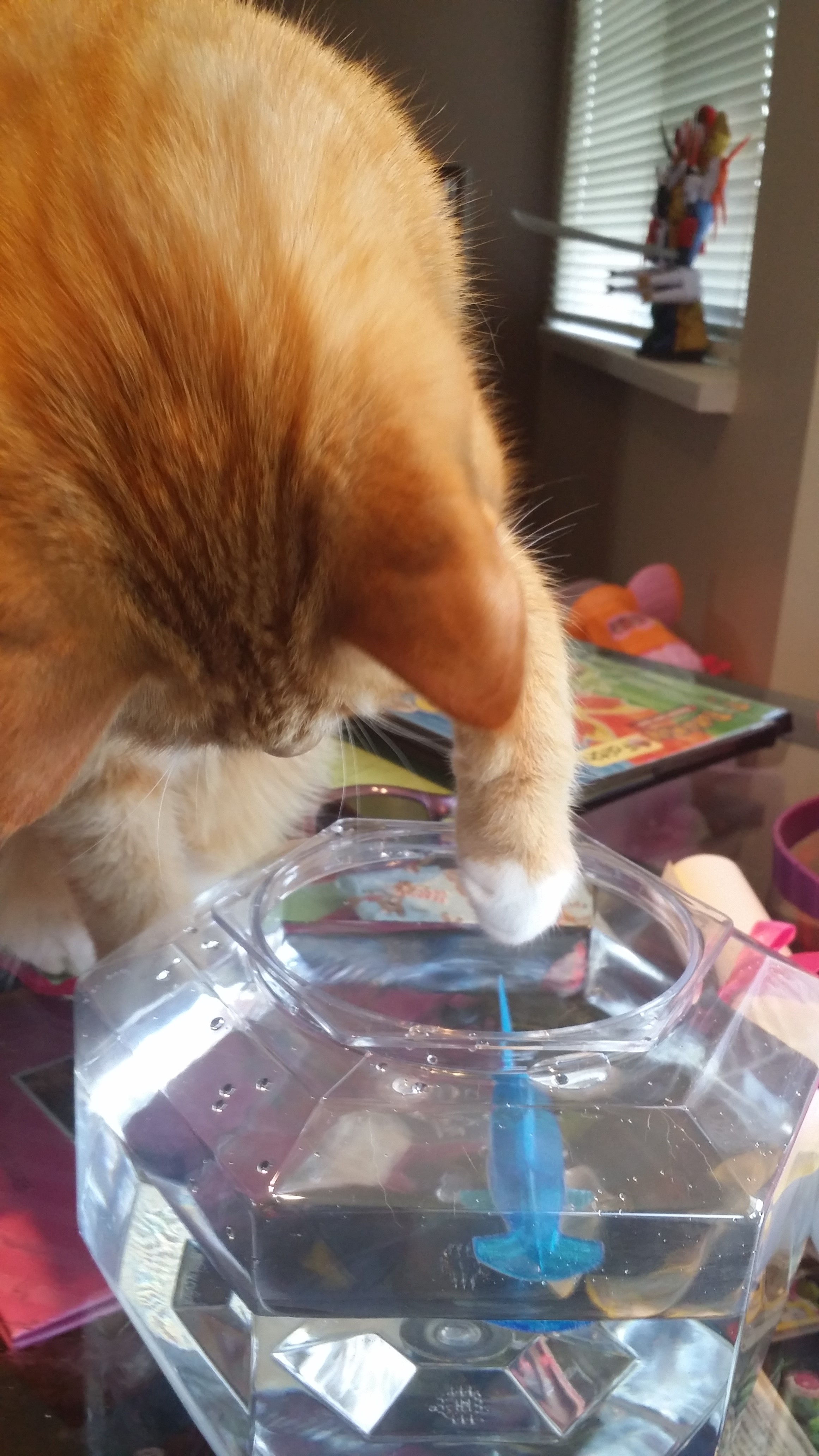 HexBug Aquabot 2.0 with Fishbowl | MomMomOnTheGo.com